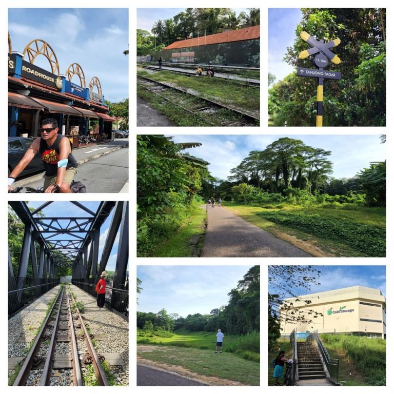 Guide to hiking Rail Corridor in Singapore (Includes Route map & tips ...